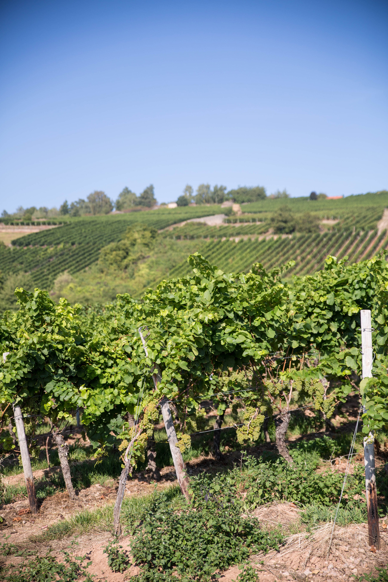 Der Held und das Urmeer. - HeldamHerd